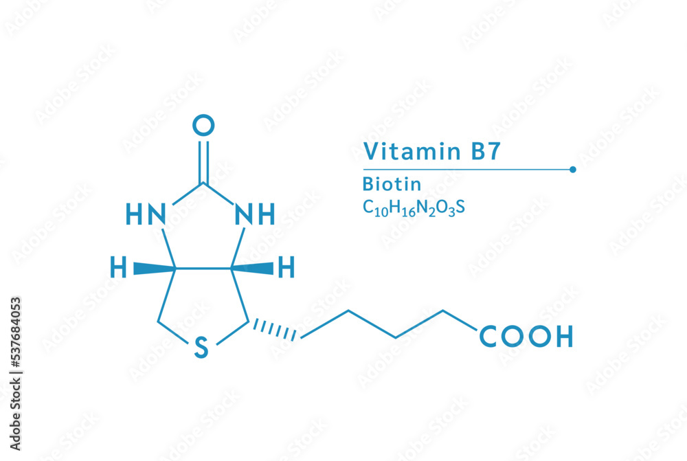 Vitamin B7 structural blue outline chemical formula. Medical and ...