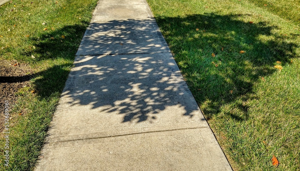 Tree Shadow on Sidewalk in October Stock Photo | Adobe Stock