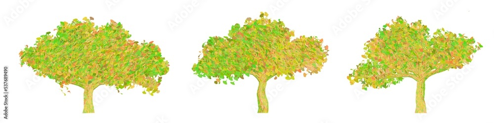 Squat tree (set) with foliage beginning to turn yellow isolated on a ...