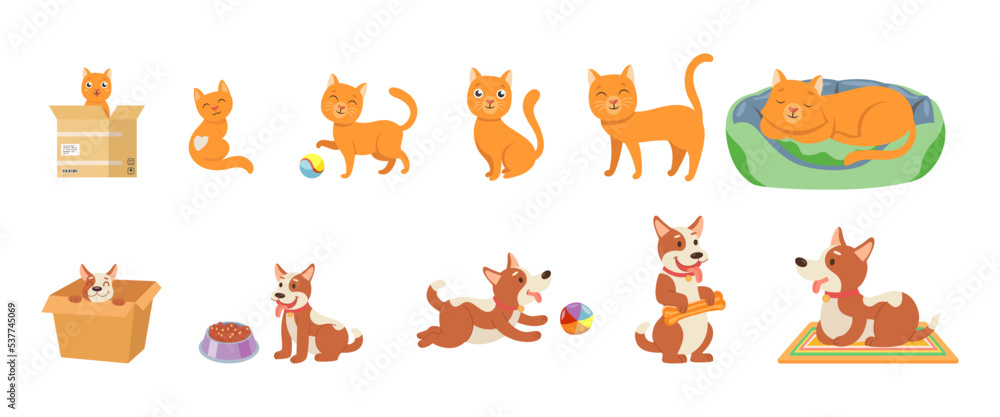 Stages of cat and dogs growth cartoon illustration set. Happy little ...