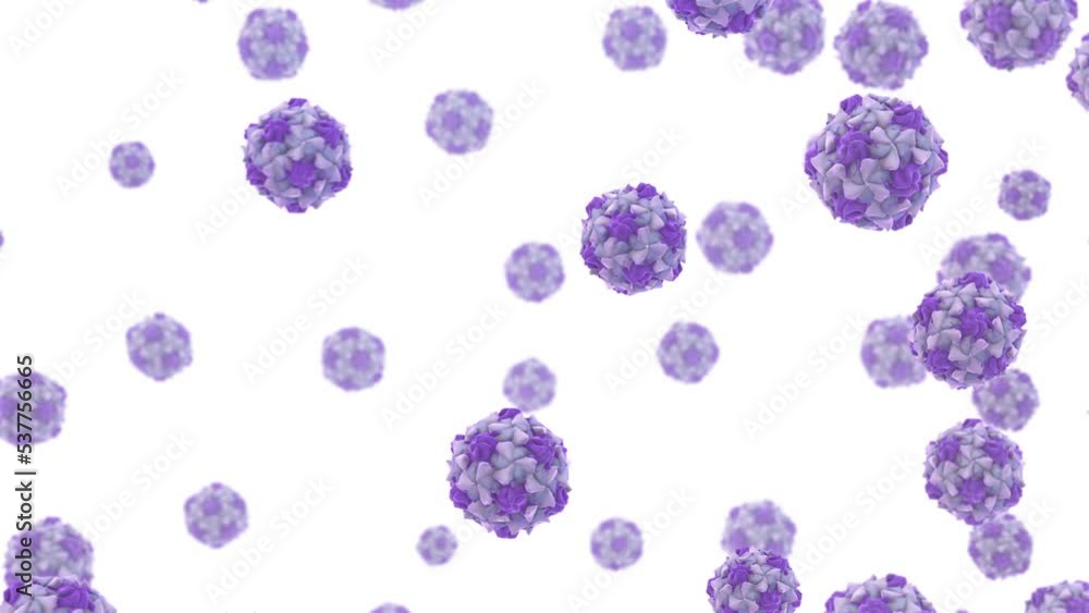 Polio virus particles with their viral capsid proteins floating ...