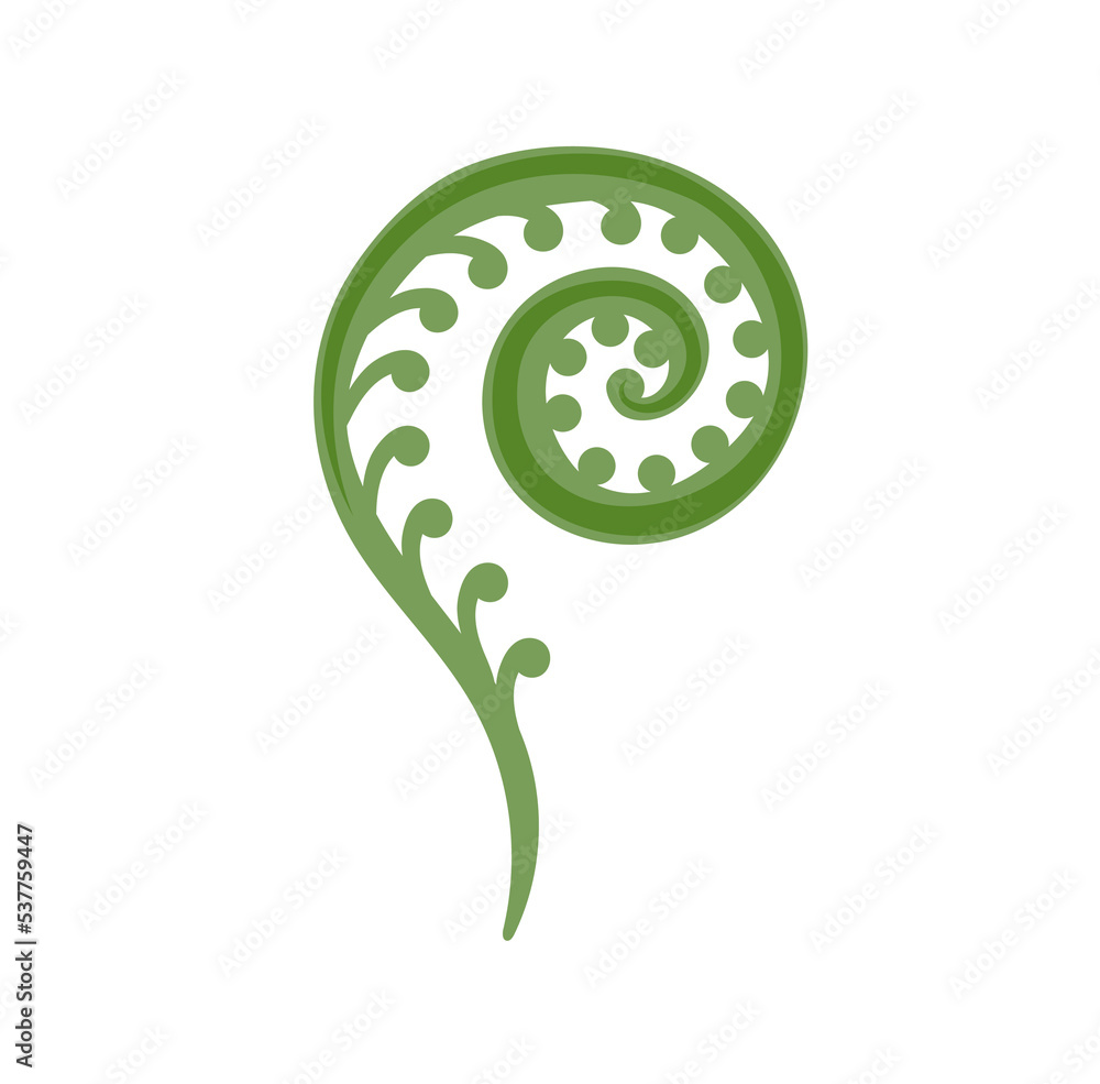 Curly fern leaf. Forest magic plant. Green plant shoot. Flat hand drawn ...