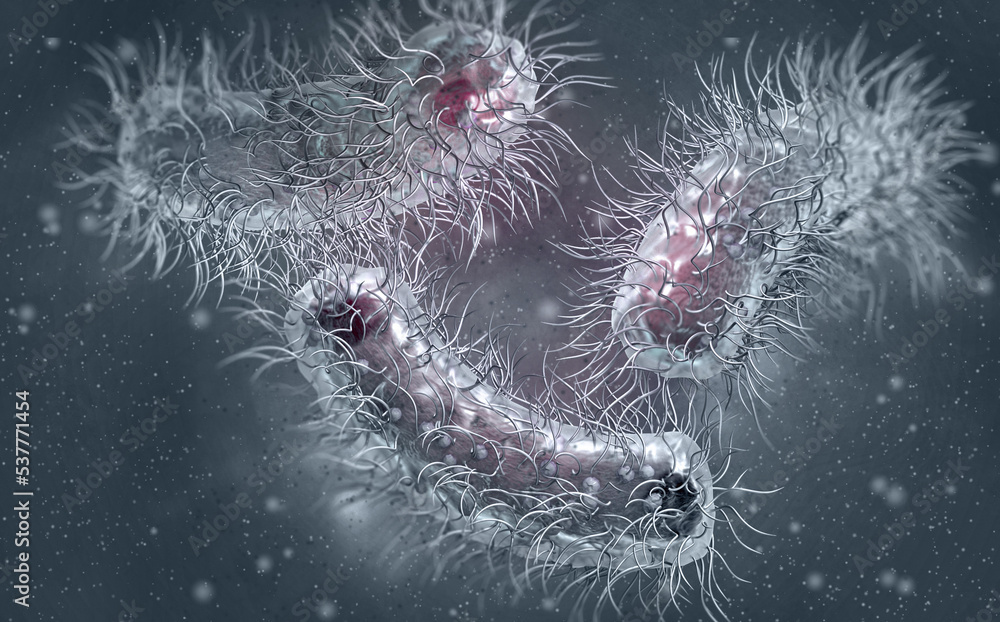 Medical background, Enterobacterales bacterium including pathogens ...