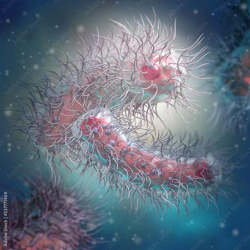 Medical background, Enterobacterales bacterium including pathogens ...