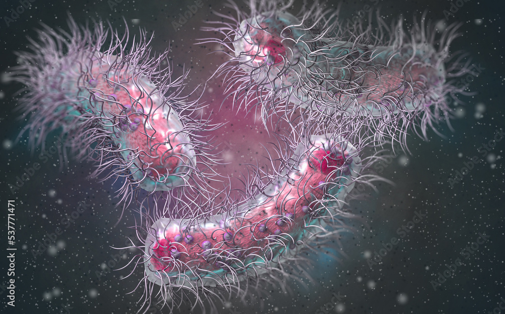 Medical background, Enterobacterales bacterium including pathogens ...