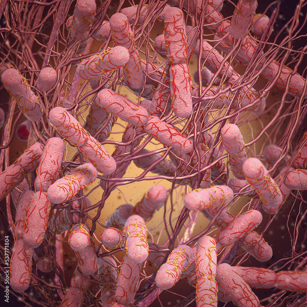 Medical background, Escherichia coli, gram-negative rod-shaped bacteria ...