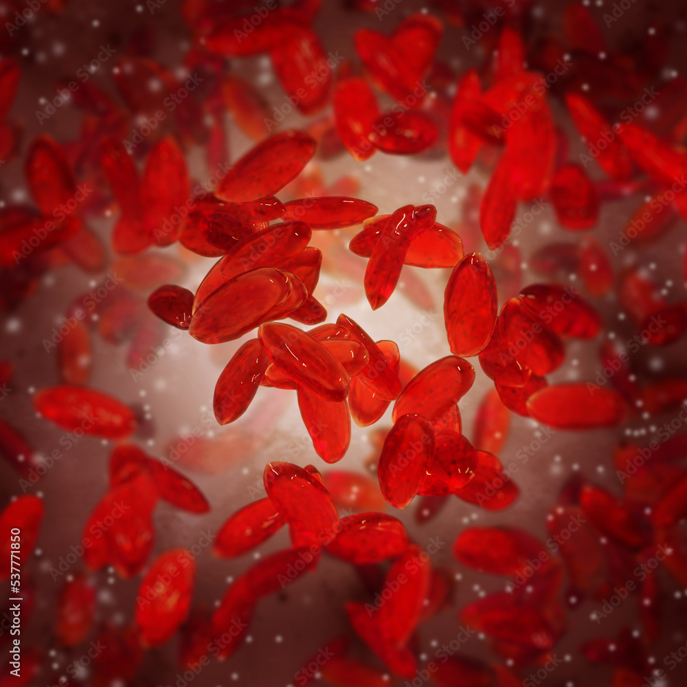 Medical background, Yersinia pestis a species of gram-negative bacteria ...