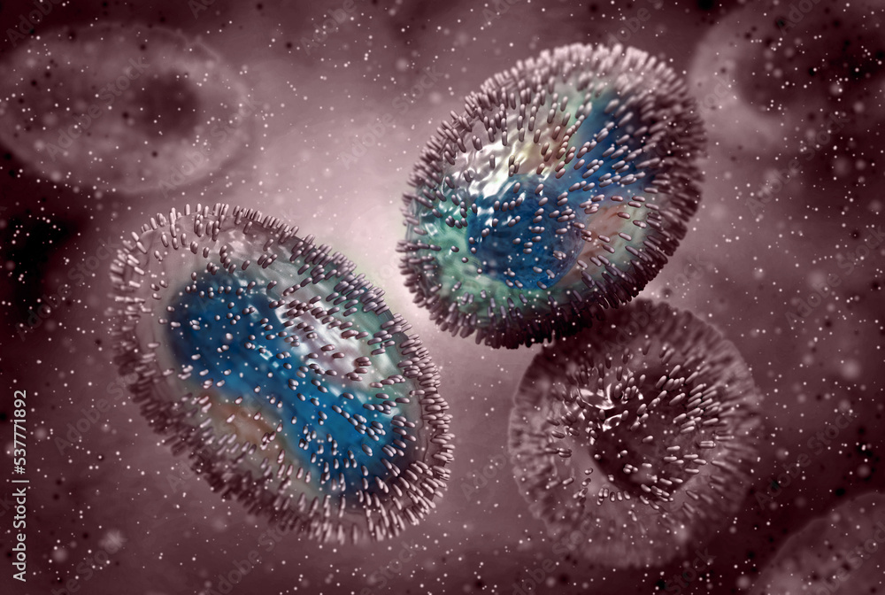 Medical background, Monkeypox virus, Zoonotic virus from the Poxviridae ...