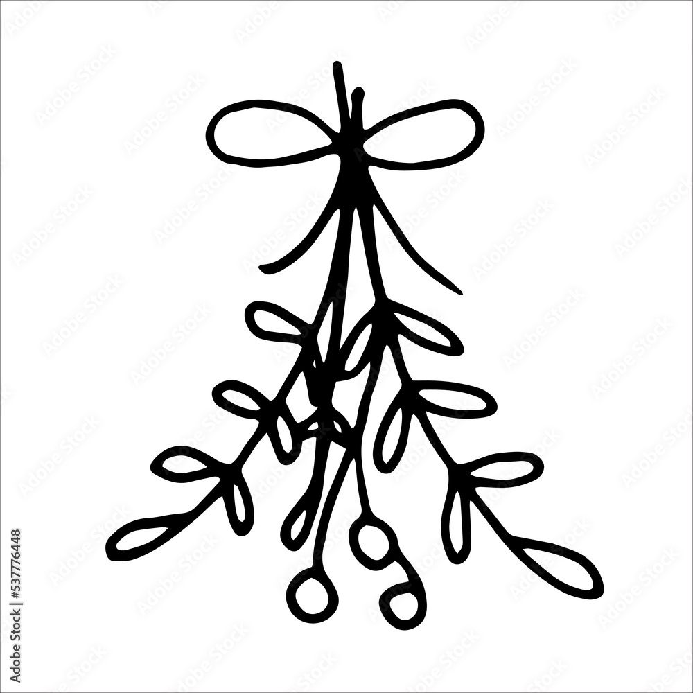 Hand drawn mistletoe doodle vector illustration isolated on white Stock ...