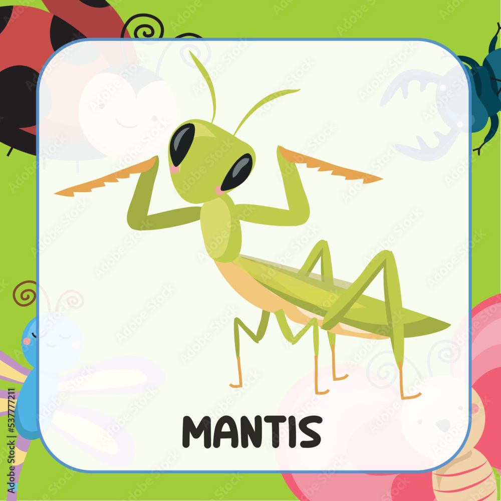 Cute insect flashcards for Children. Bugs flashcards cute character ...