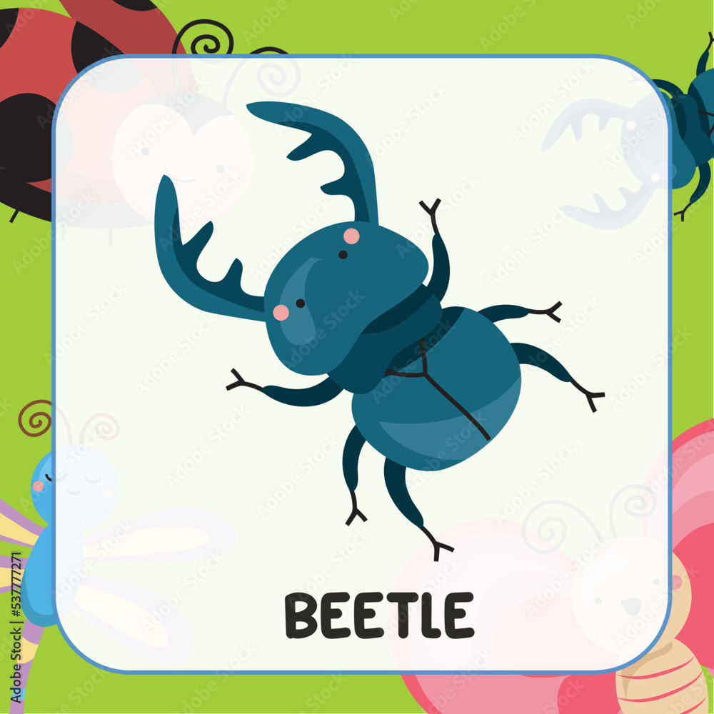 Cute insect flashcards for Children. Bugs flashcards cute character ...