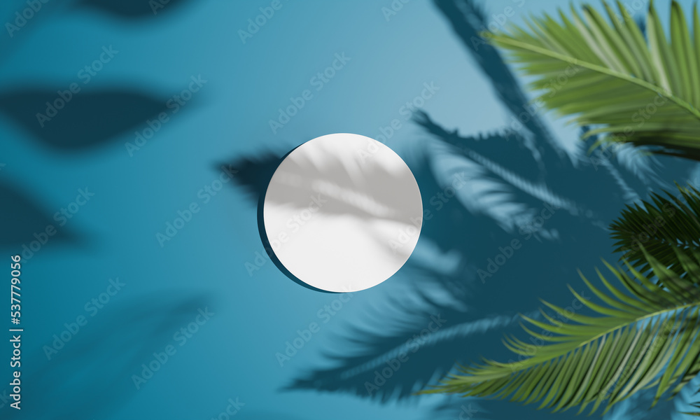 Top view with colorful background snd tree stand or podium on ...