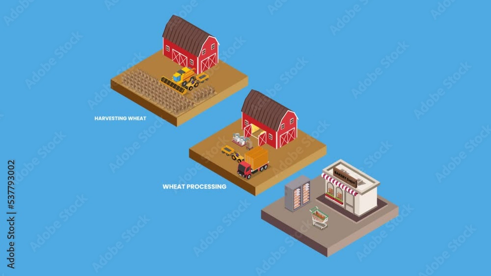 Stages production of breads Stock Video | Adobe Stock