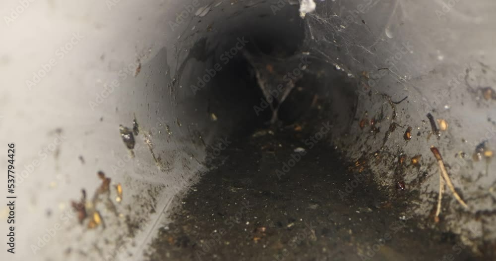 sliding inside dirty plastic pvc rainwater drain pipe Stock Video ...