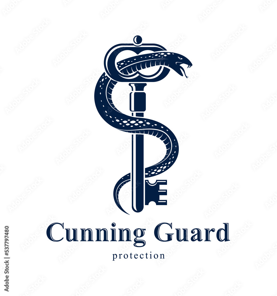 Snake wraps around vintage key, protected secret concept, turnkey and ...