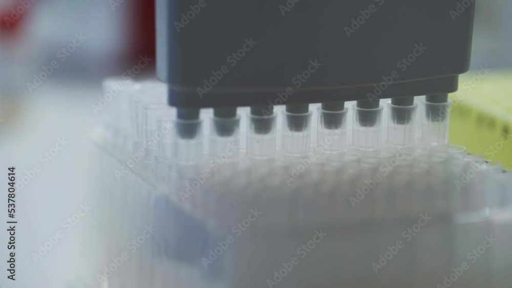 Vidéo Stock Close Up Of Laboratory Specialist Dropping Product Test ...