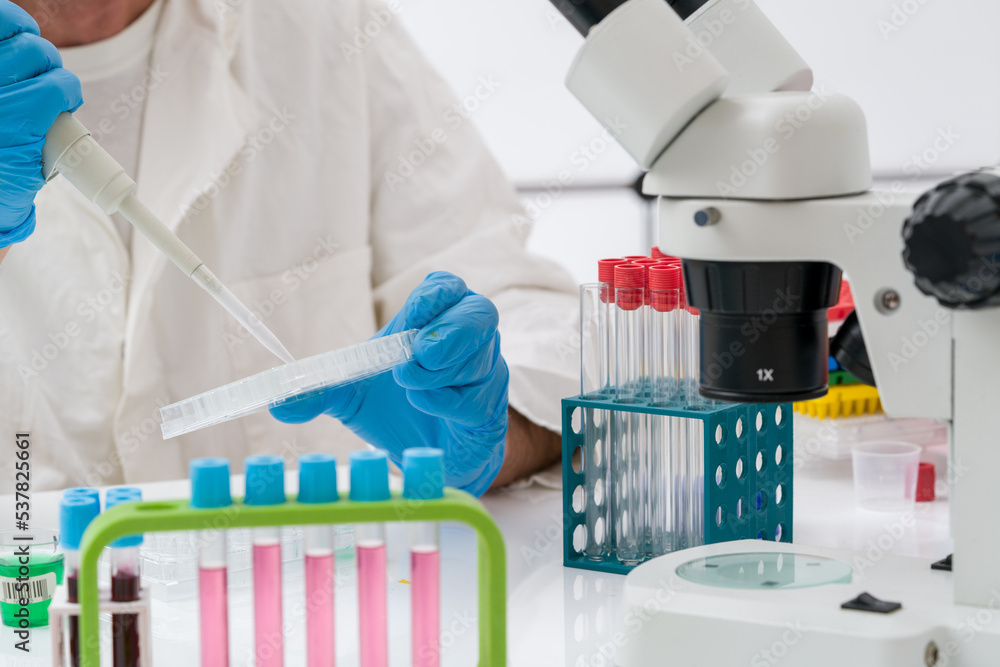 Experiment in the genetic laboratory for growing artificial organs ...