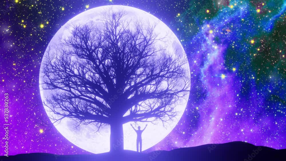 Leafless bald bare tree in front of the surrounding big full moon on ...