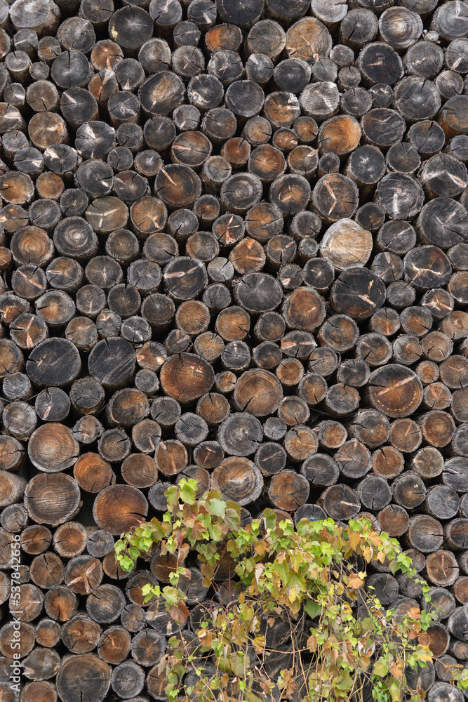stacked firewood in front of a biomass power plant - texture Stock ...