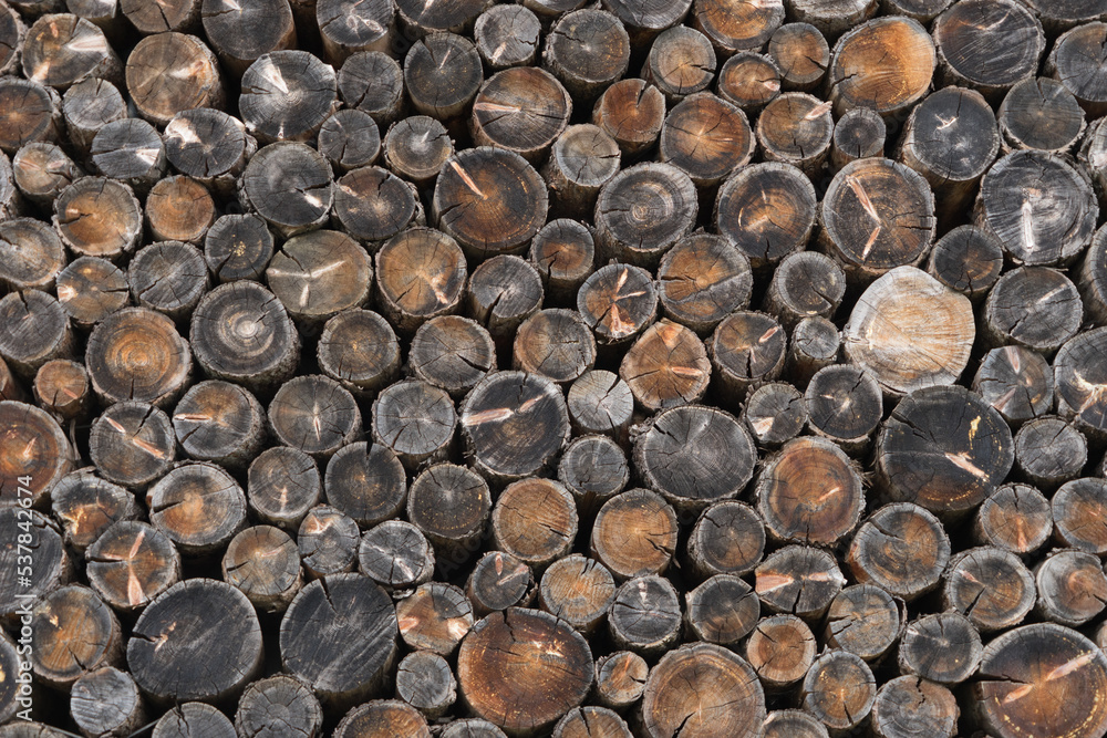 stacked firewood in front of a biomass power plant - texture Stock ...