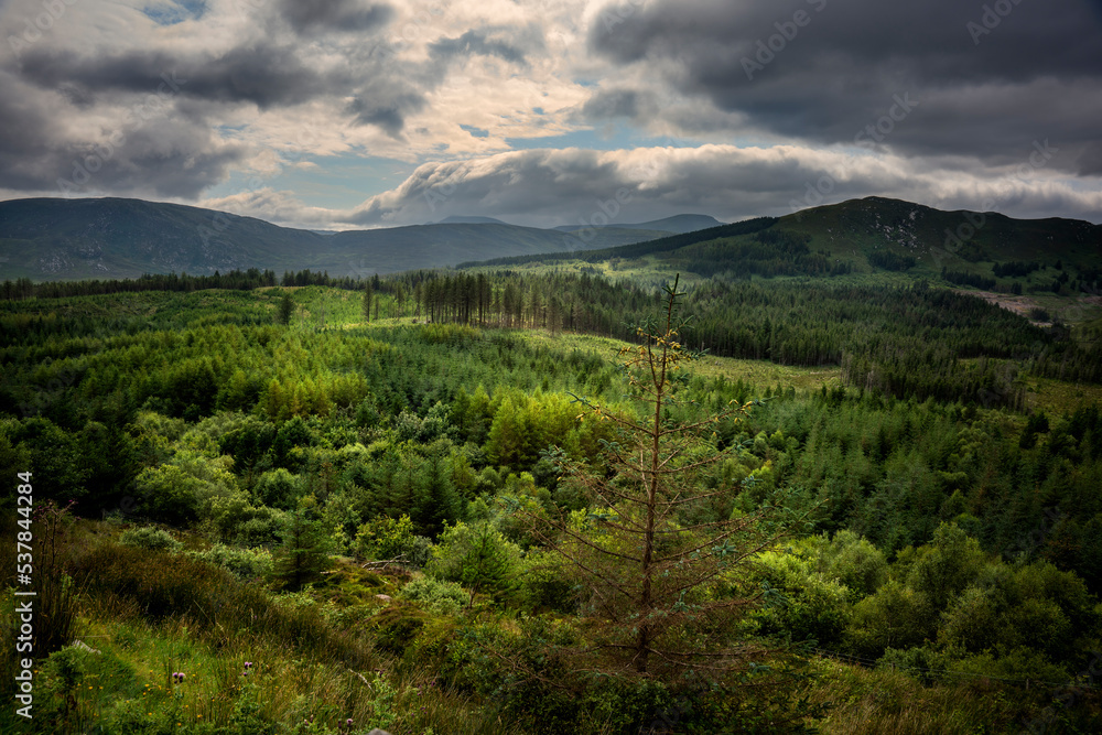 Different shades of green in Wild Nephin National Park in county Mayo ...
