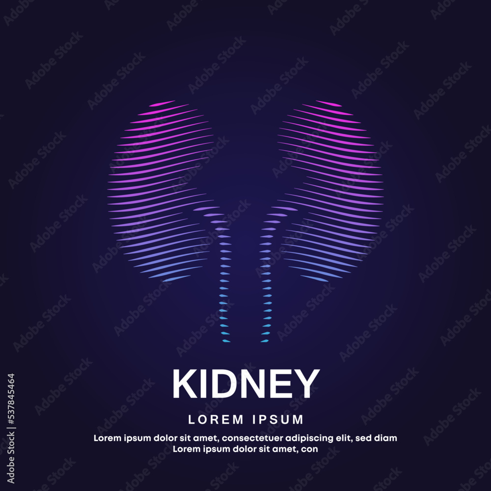 Human kidney medical structure. simple line art kidney Vector logotype ...