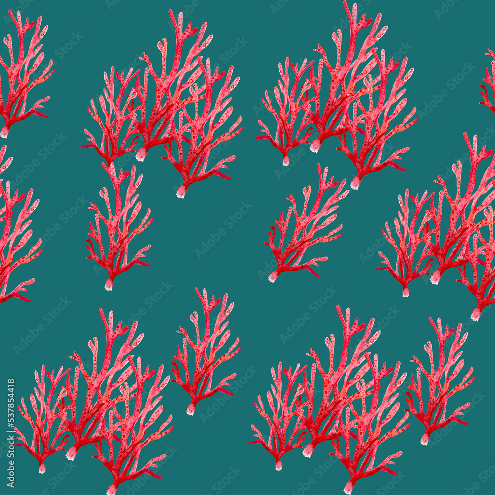 Hand drawn watercolor drawing of coral plant, illustration art. Stock ...