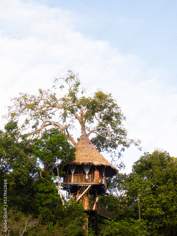Glamping accommodation in the Amazon rainforest. Wooden treehouse ...