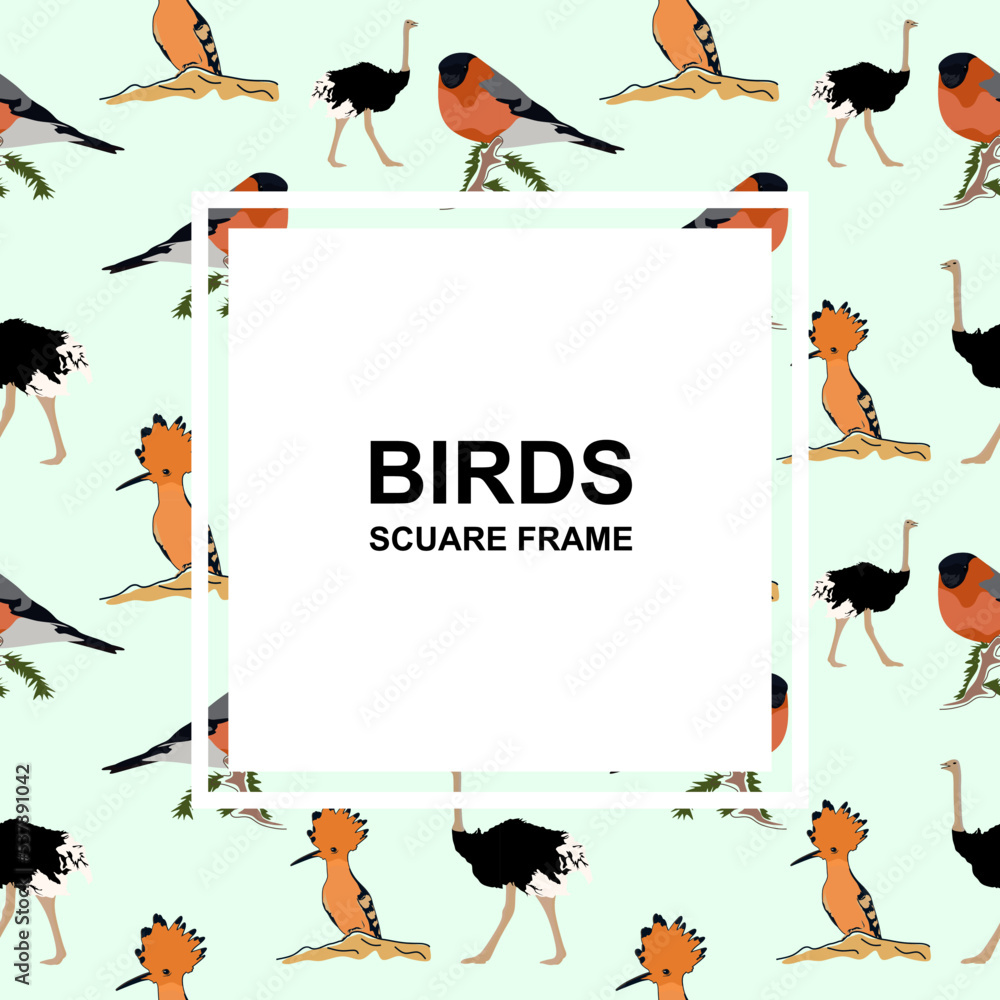 Birds square frame. Square card background design with different birds ...