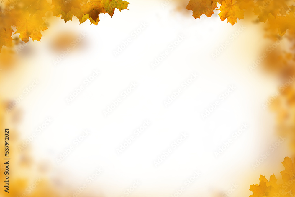 Autumn Painted Photo Overlays, Photoshop Art Frames, Autumn Overlays ...