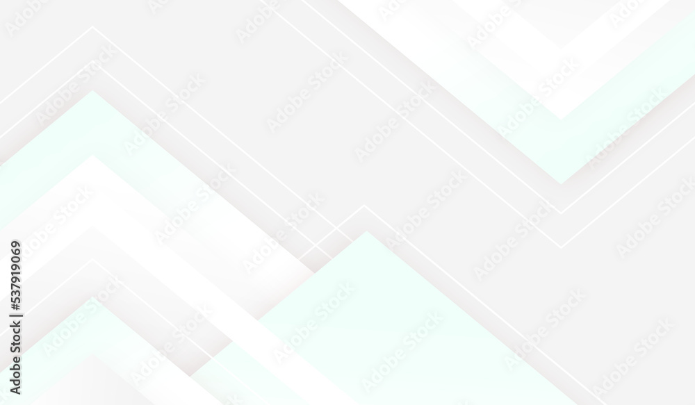 Modern elegant white abstract background design Stock Vector | Adobe Stock