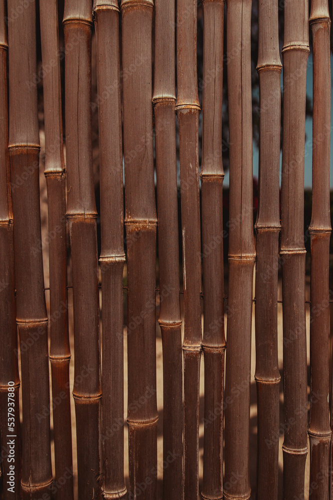 Beautiful brown vertical bamboo background from a Japanese garden park ...