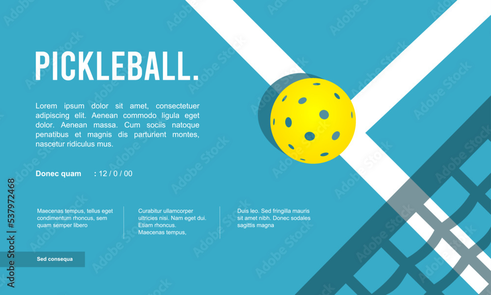 Great simple pickleball background design for any media Stock Vector ...