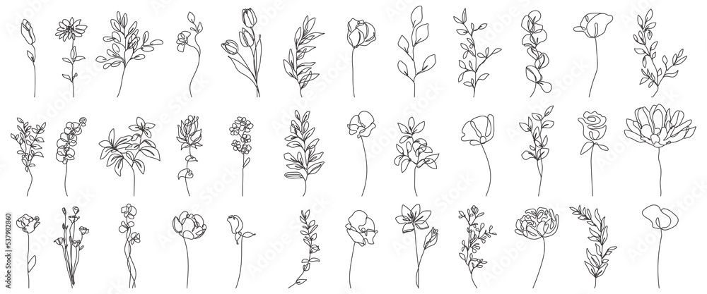Line Drawing Flowers. Continuous Line Drawing Of Plants Black Sketch of ...