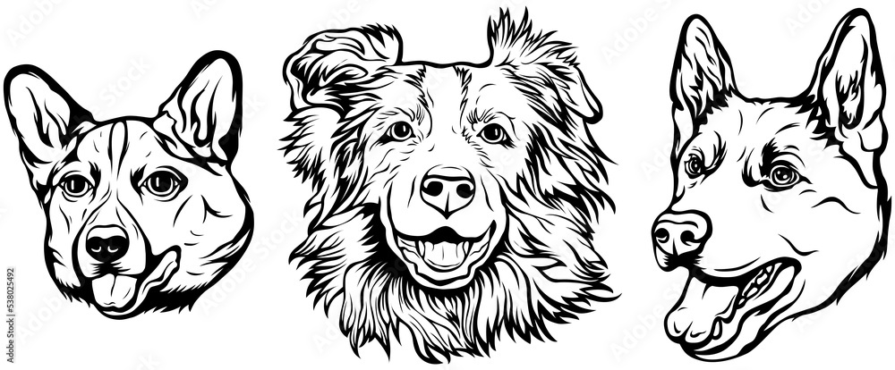 Hand drawn face of dogs. Black and white png illustration mascot art ...