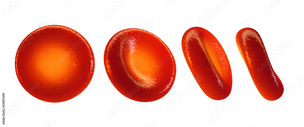 Red blood cell seen from different angles isolated. Blood cells ...
