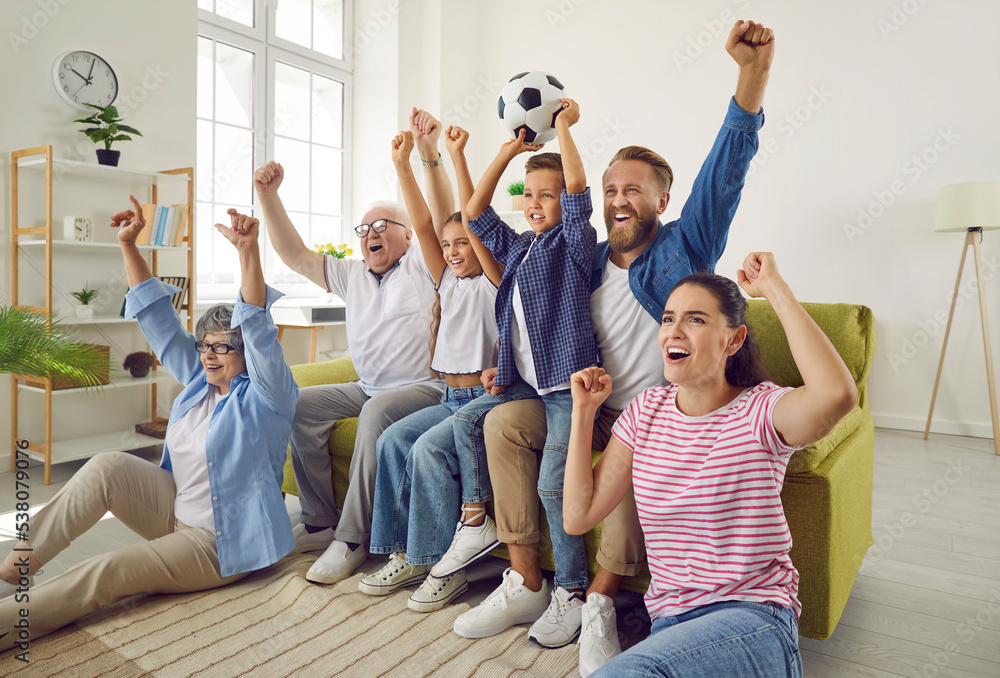 Super excited and happy big multi-generational family watching football ...