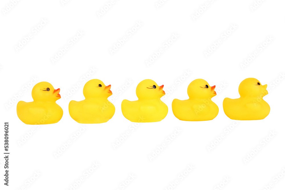 Five yellow plastic rubber ducks in a row, png stock photo file cut out ...