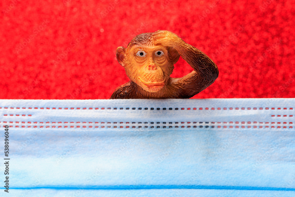 Figurine of a monkey behind a medical surgical mask. The concept of ...