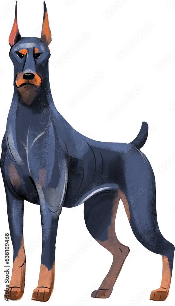 Cartoon dog. doberman.png hand drawn illustration Stock Illustration ...