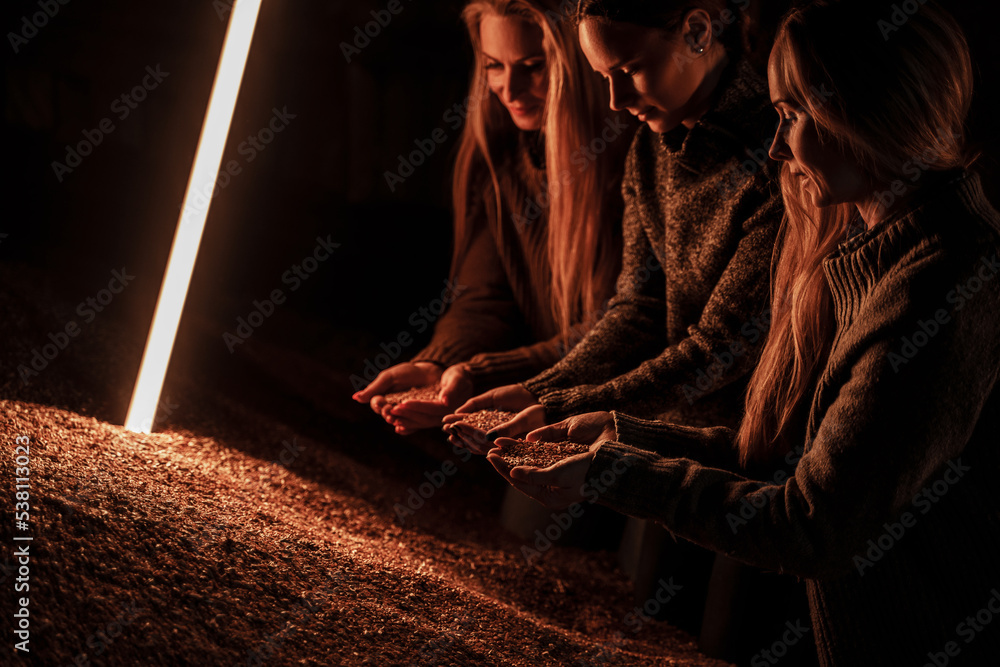Shot of female farmers and wheat grain mountain in dark hangar. Stock ...