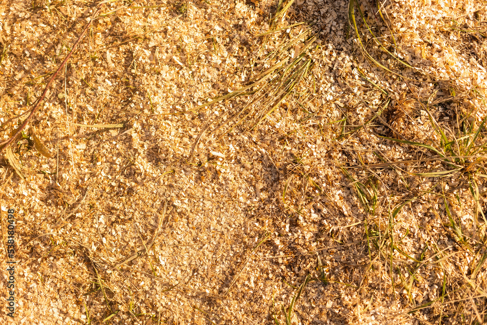 Sawdust or wood dust texture background. Wood sawdust background ...