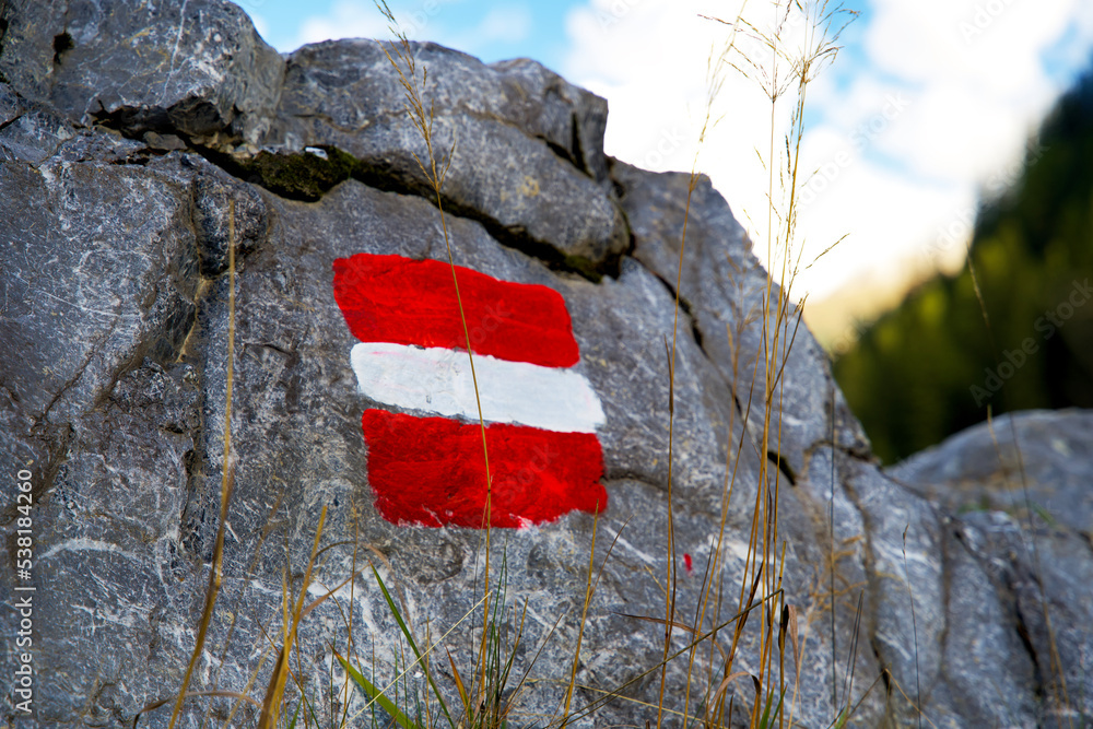 alpine, alps, austria, austrian, austrian flag, color, colorful ...