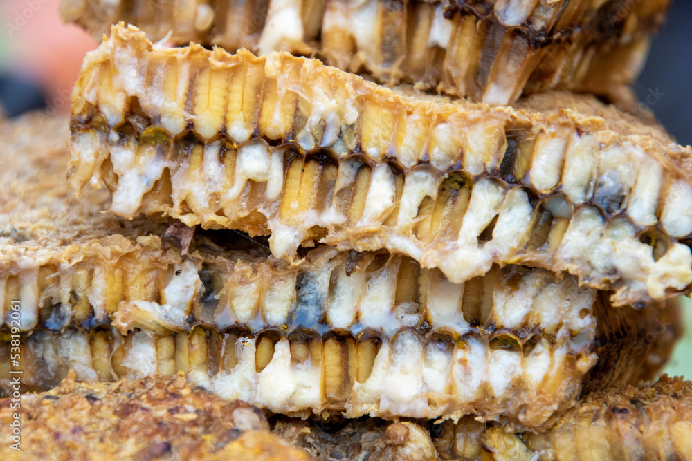 rotten food with maggots Stock Photo | Adobe Stock