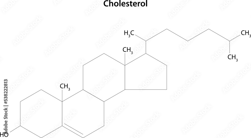 Cholesterol molecule. Structural formula. Essential component of cell ...