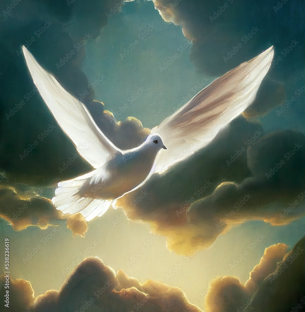 White dove illustration bird background artwork symbol holy spirit ...