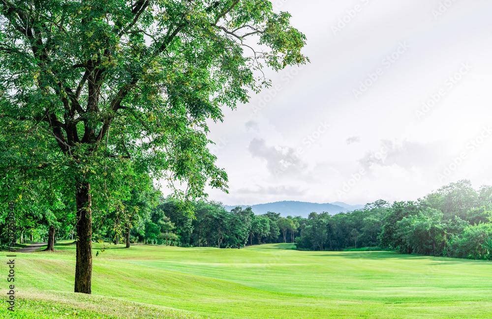 Golf course with green turf landscape. Green grass field with forest ...