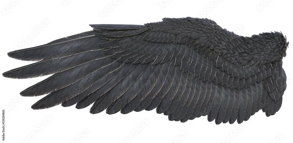 3D Rendered Fantasy Bird Wings Isolated On Transparent Background - 3D Illustration Stock ...