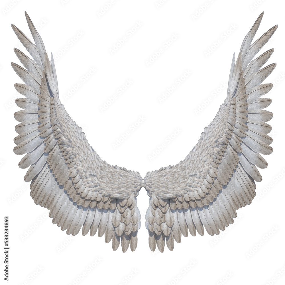 3D Rendered Fantasy Bird Wings Isolated On Transparent Background - 3D ...