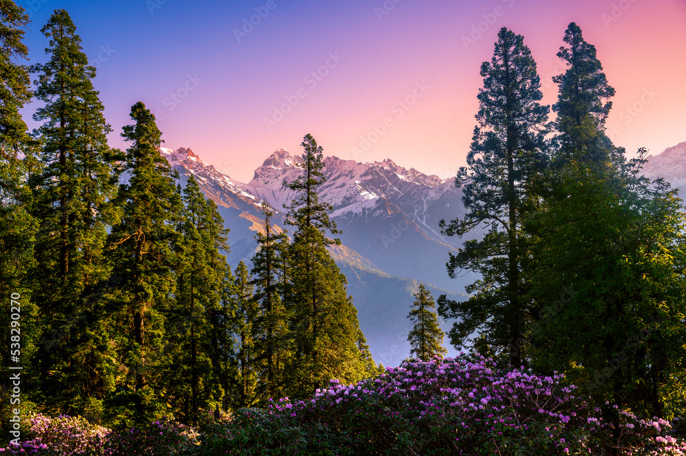 Sunset in the mountains. These are the scenic meadows of the Parvati ...